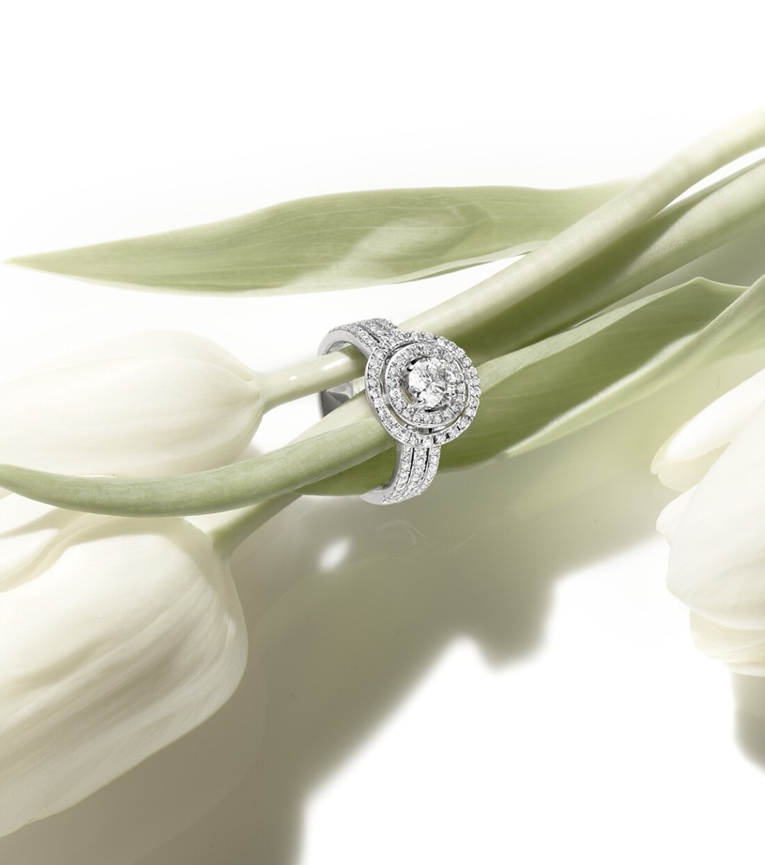 Maison Azuelos - Bijoux Azuelos Zellij